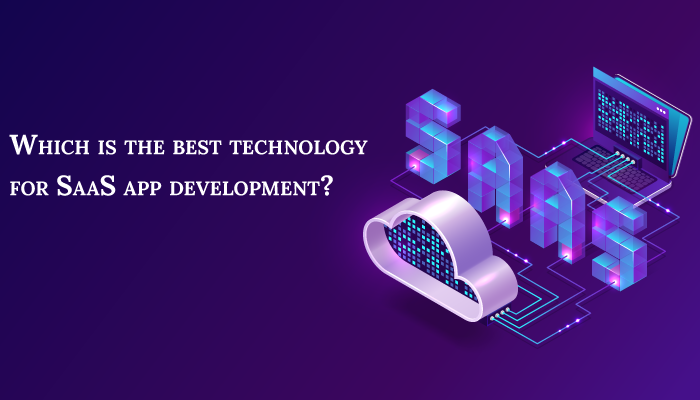 Amazing Technology for SaaS app development