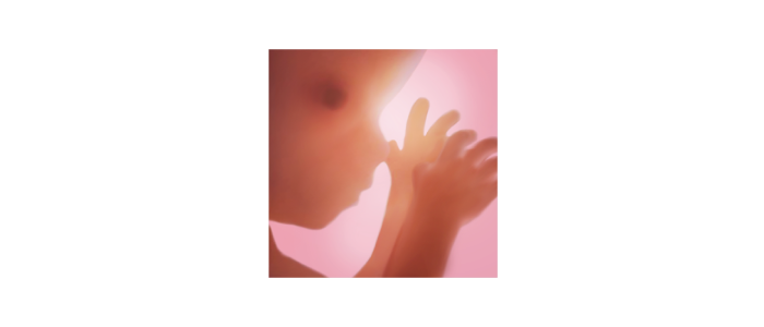 How to Build a Pregnancy Tracker App Like Babycenter in 2024