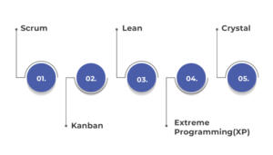 Agile methodology approaches: Project Management Solution